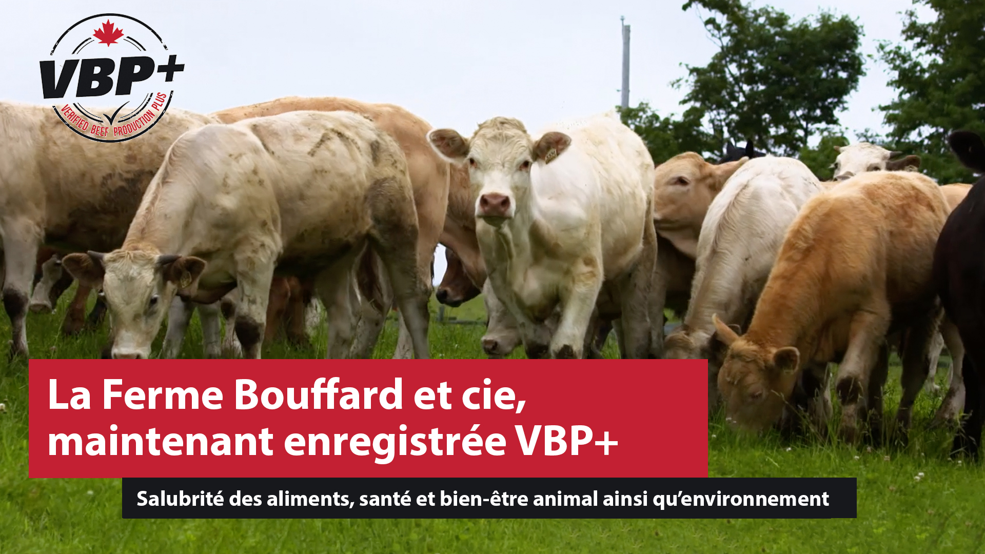 À propos – Boucherie Face de Boeuf